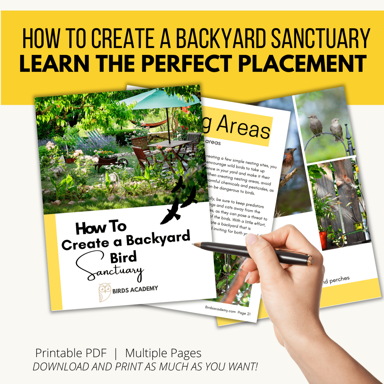 Birds Academy Ebook - BirdsAcademy